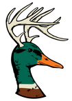 Submit a Request – Duck Buck Co.